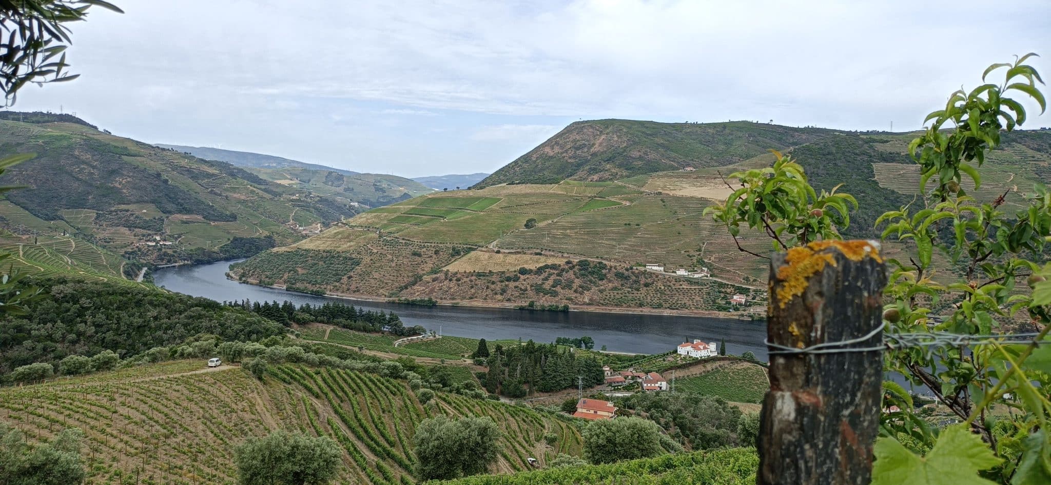 Douro River – Jorge Miguel Matias – Wine & Tours