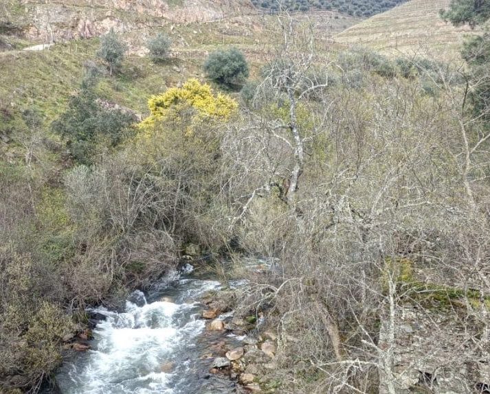 Pinhão river Douro Valley – Jorge Miguel Matias – Wine & Tours