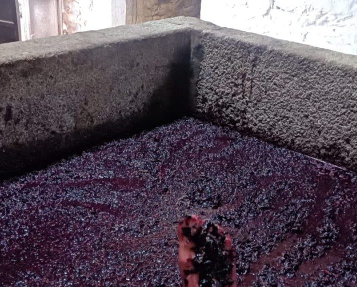 The Stone Wine “Lagar”: A Timeless Tradition of Douro Valley – Jorge ...