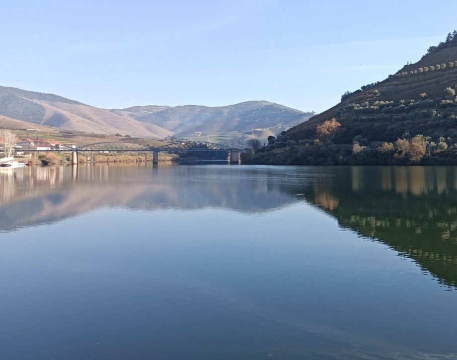 Discover Pinhão and the Charm of Douro Valley Wine Tours – Jorge Miguel ...