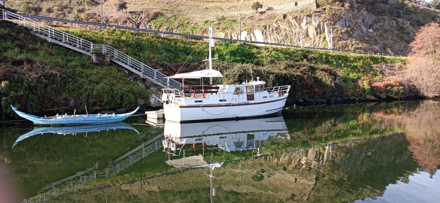 Douro Valley Boat Tours: A Unique Perspective on Portugal’s Wine Region ...