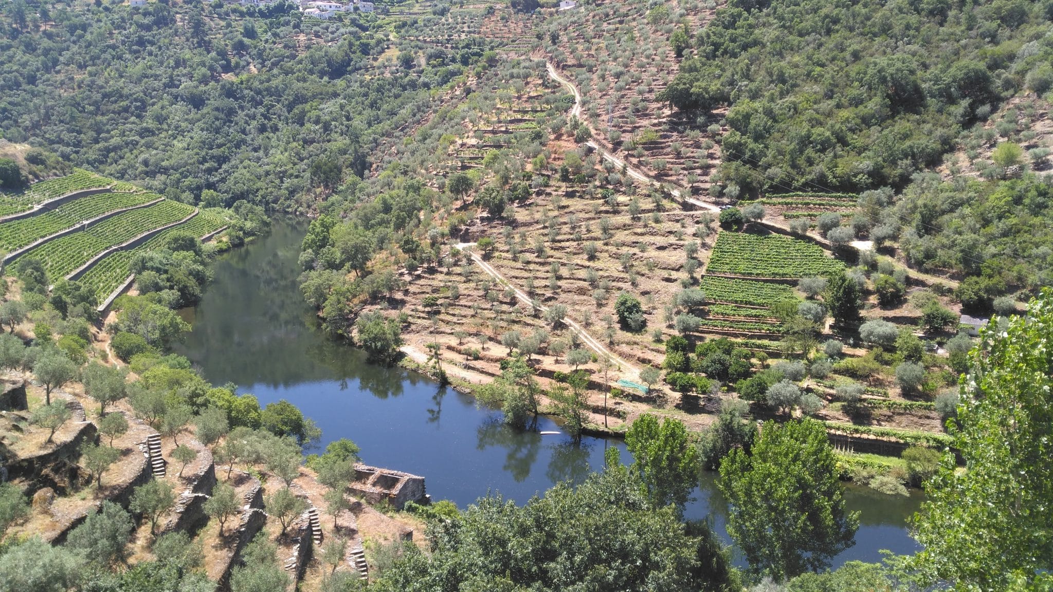 How the Douro Valley Became a UNESCO World Heritage Site – Jorge Miguel ...