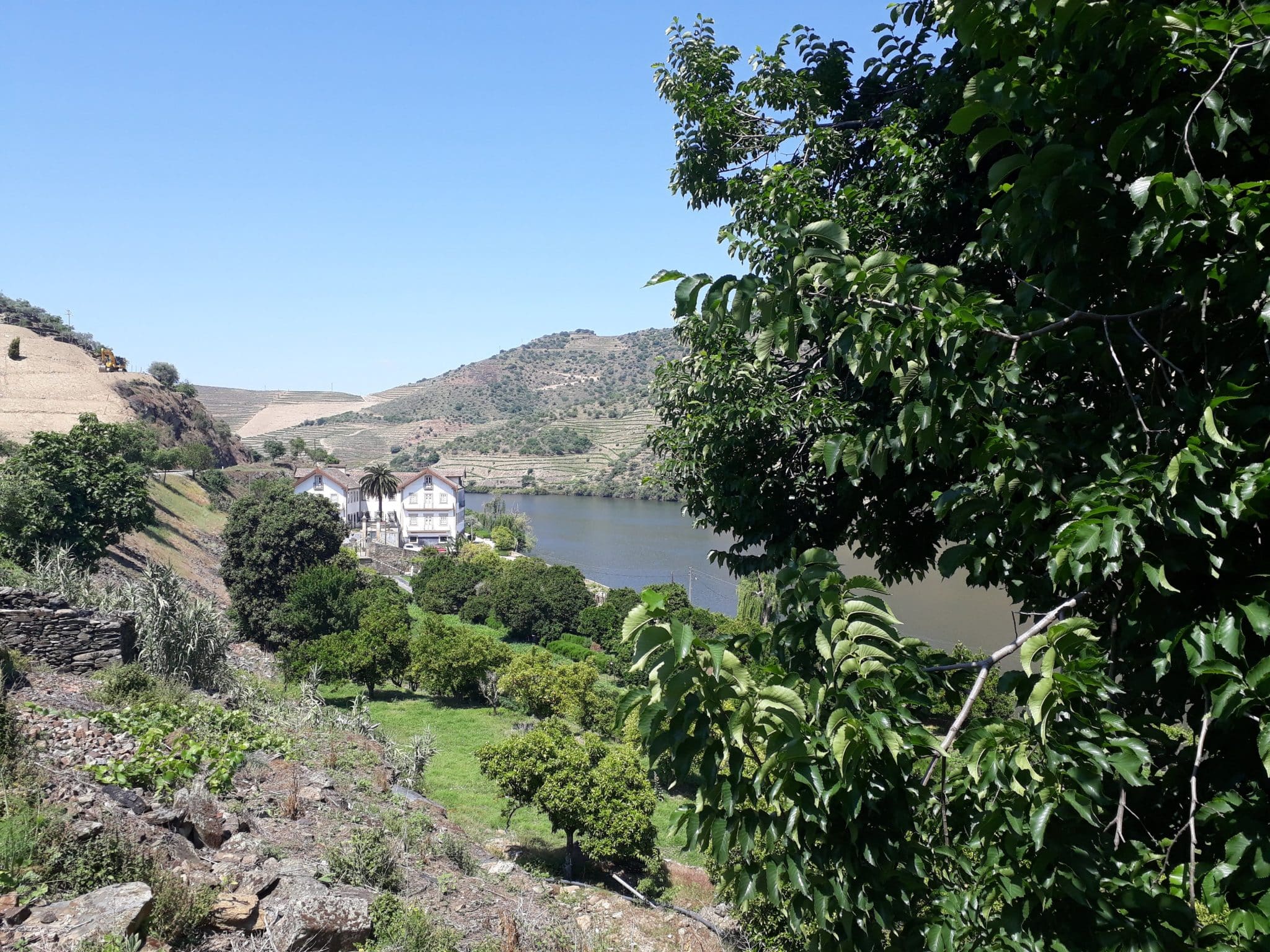 The Best Douro Valley Hotels and Quintas for Every Budget – Jorge ...